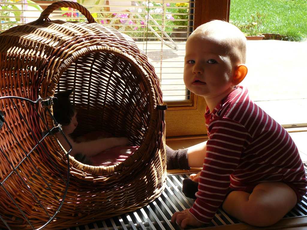 Re: pozdrav | Názor z diskuze | Rodina.cz | č. 15509811